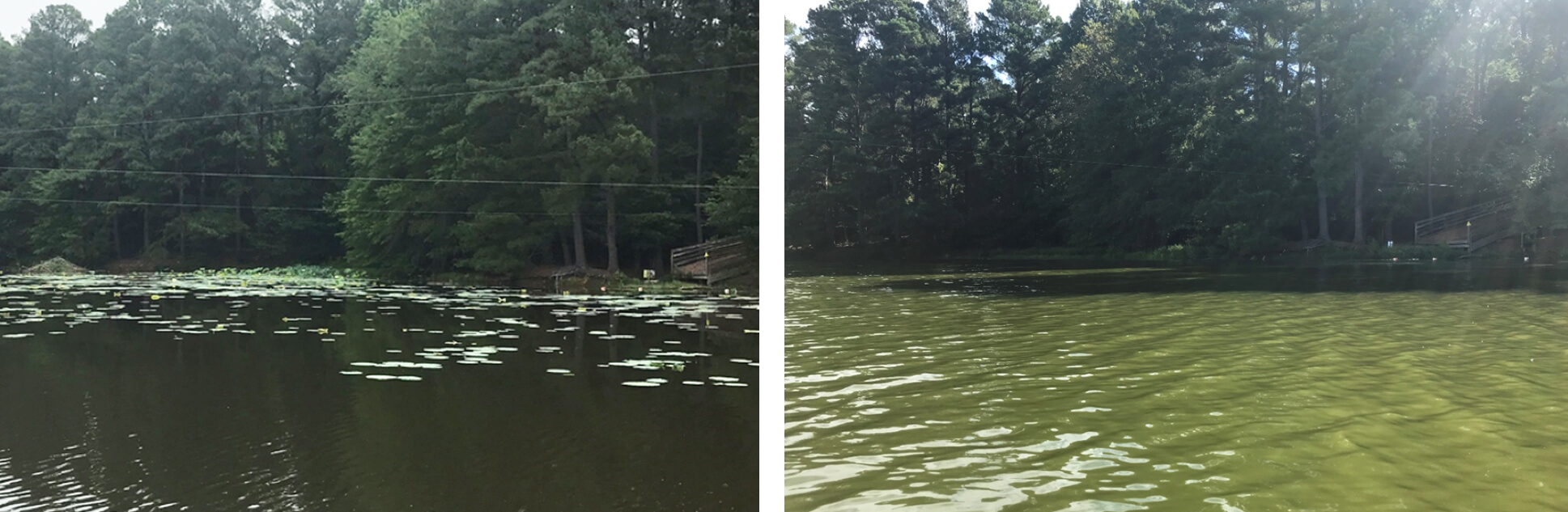 ProcellaCOR Aquatic Weeds | SePRO Corporation