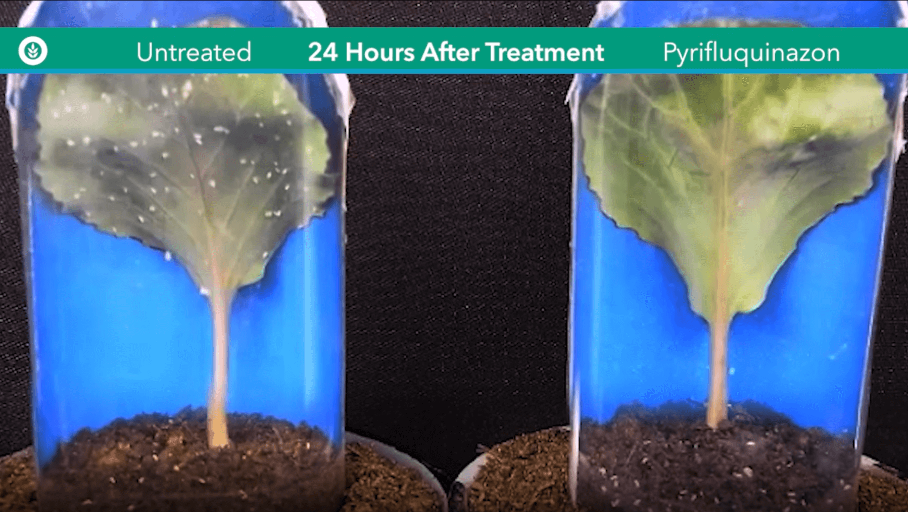 Hort Corner | SePRO Corporation